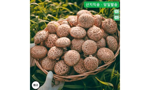 표고버섯 사용한 사람만 추천하는 개이득상품 고르는법 더이상 호구로 살고 싶지 않아 직접 만든 상품비교 블로그